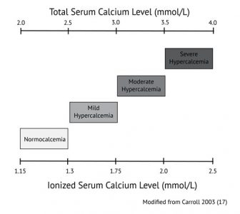 Correcting the Myth of Calcium Correction | This Changed My Practice ...
